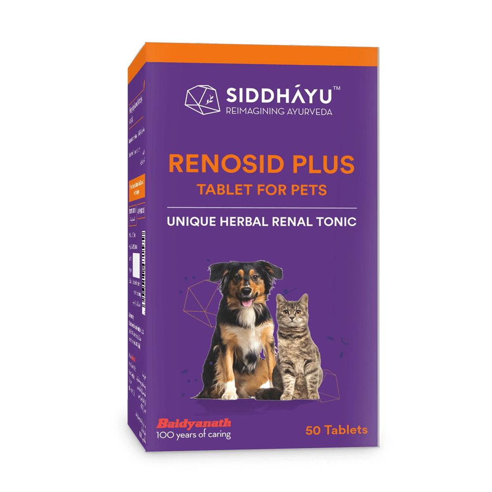 Renosid Plus Tablet For Pet – Siddhayu